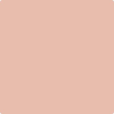 Benjamin Moore's 052 Conch Shell| Colorize - Colorize Inc.